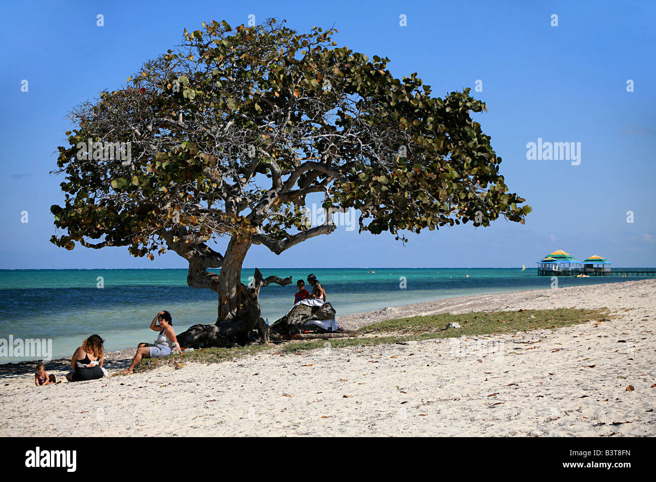 Beach, North Coast, Playa Santa Lucia, Cuba island, West Indies ...