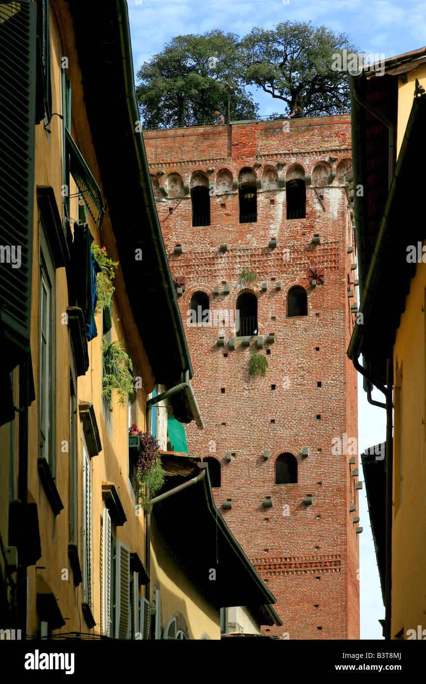 Guinigi tower, Lucca, Tuscany, Italy Stock Photo - Alamy