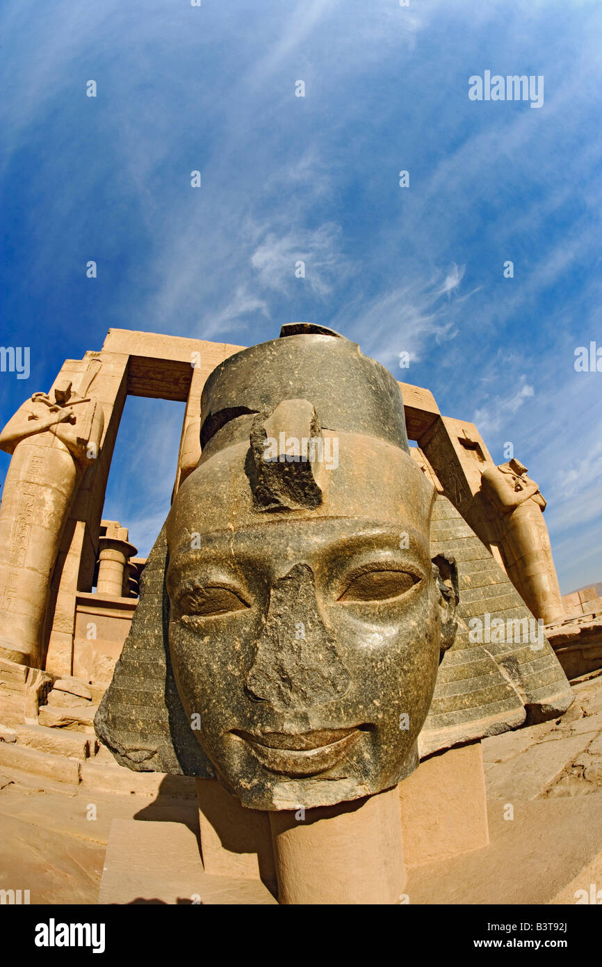 The giant head of Ramesses II, The Ramessuem on the West Bank at Luxor ...
