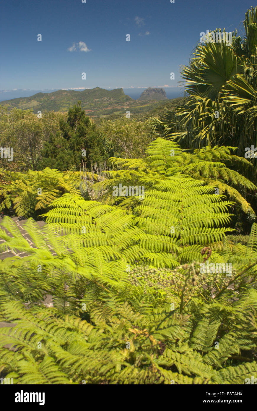 Mauritius, Chamarel. View from Varangue sur Morne restaurant Stock ...