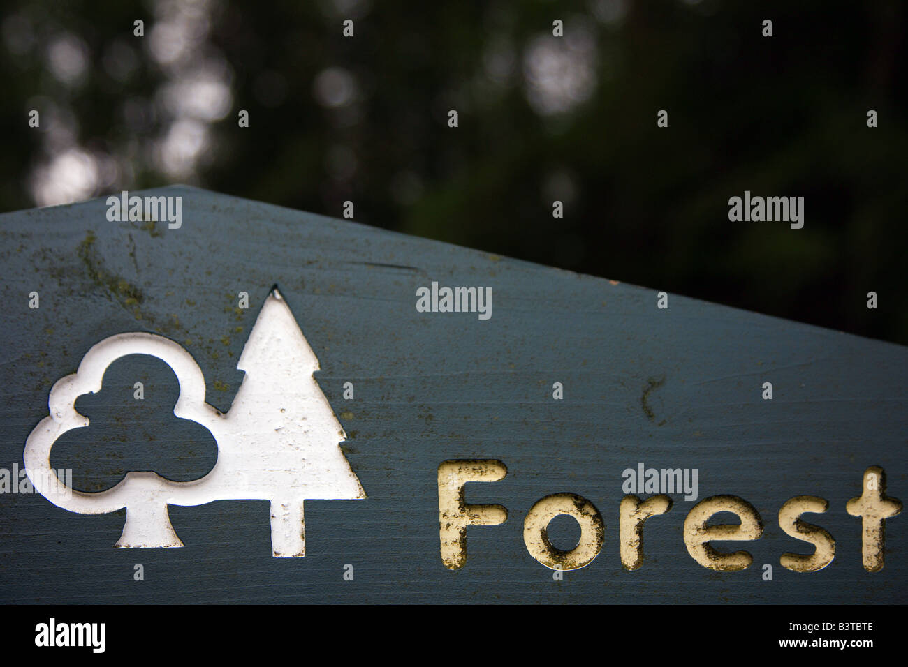 Forestry Sign Brecon Beacons Wales UK Stock Photo - Alamy