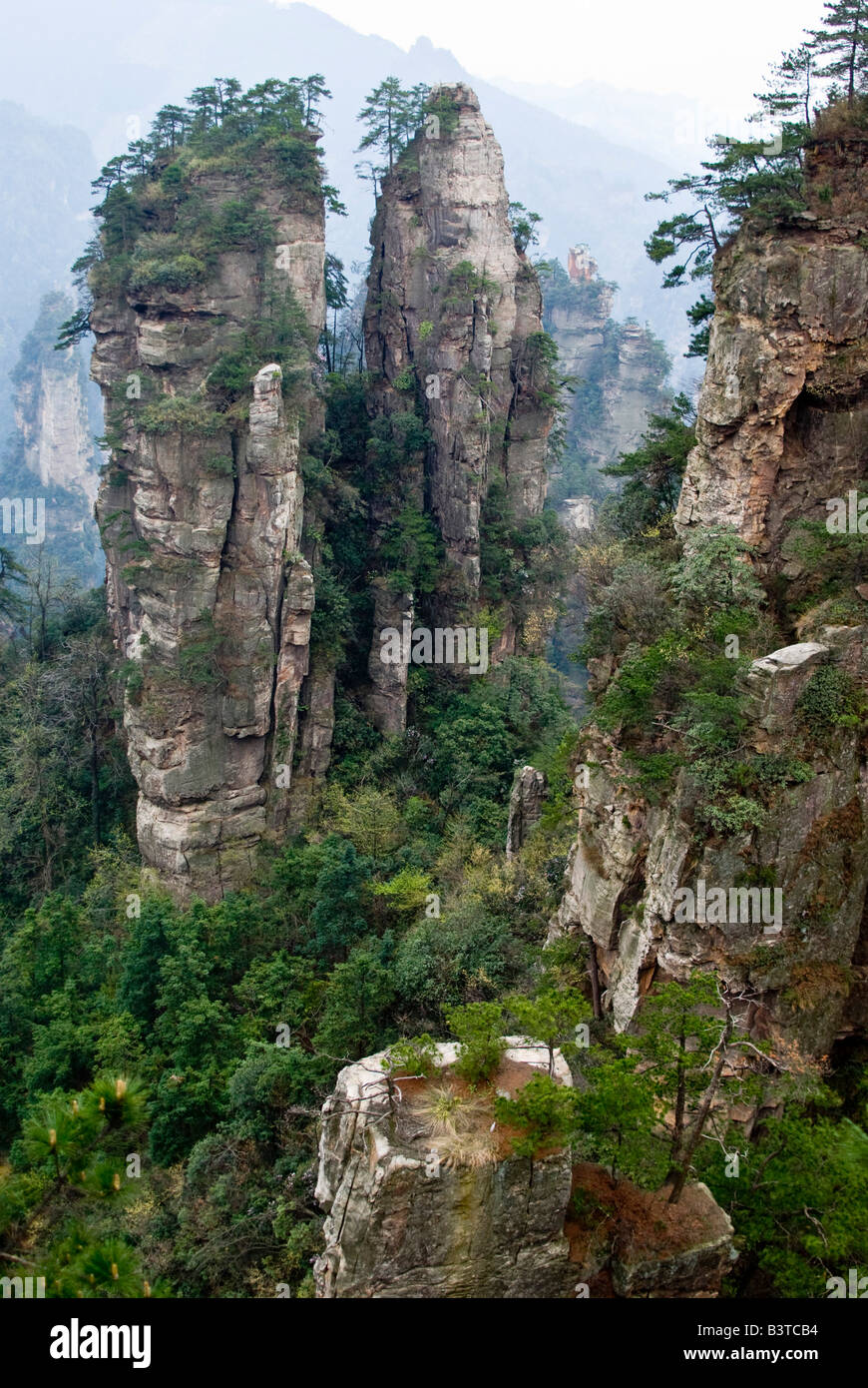 Asia, China, Hunnan Province, Zhangjiajie National Forest Park Stock ...