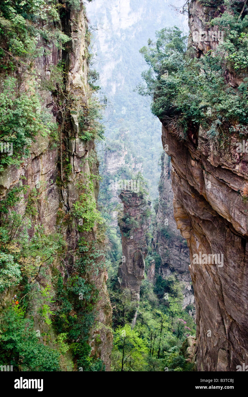 Asia, China, Hunnan Province, Zhangjiajie National Forest Park. Stone ...