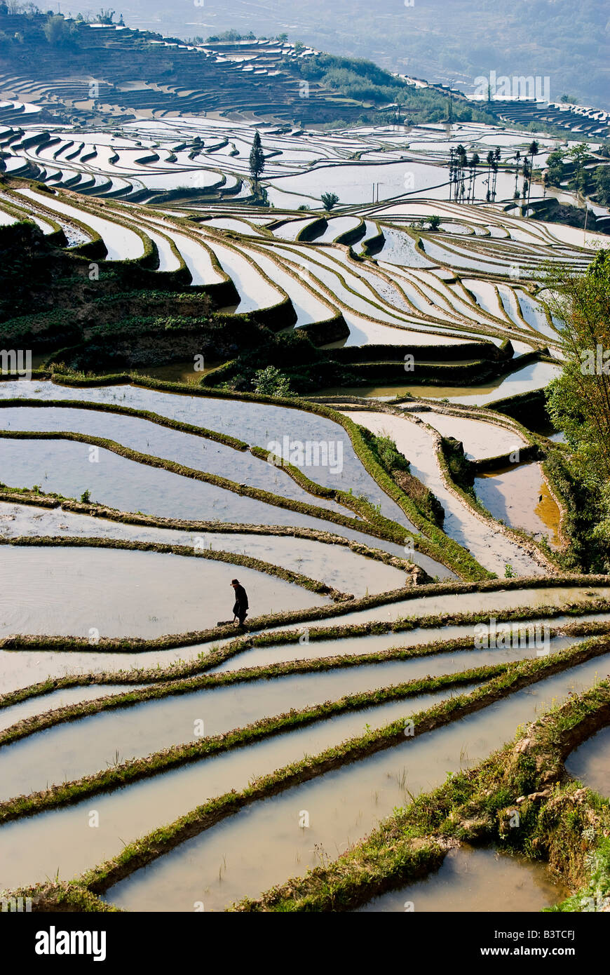 Bada rice terraces hi-res stock photography and images - Alamy