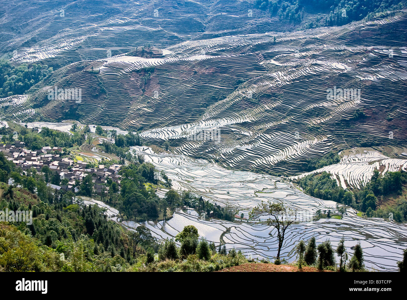 Asia, China, Yunnan Province, Yuanyang County. Village and flooded Duo ...