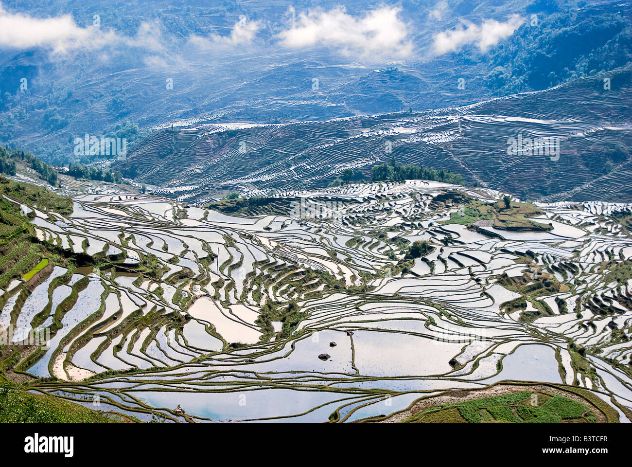 Yuanyang County Yunnan