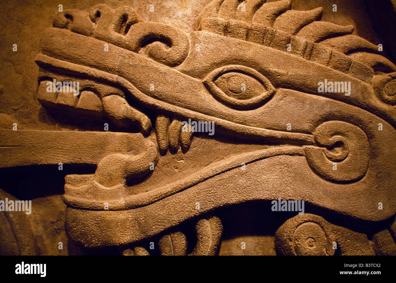 Mexico, Mexico City. Exhibit in the pre-Hispanic display of the Museum ...