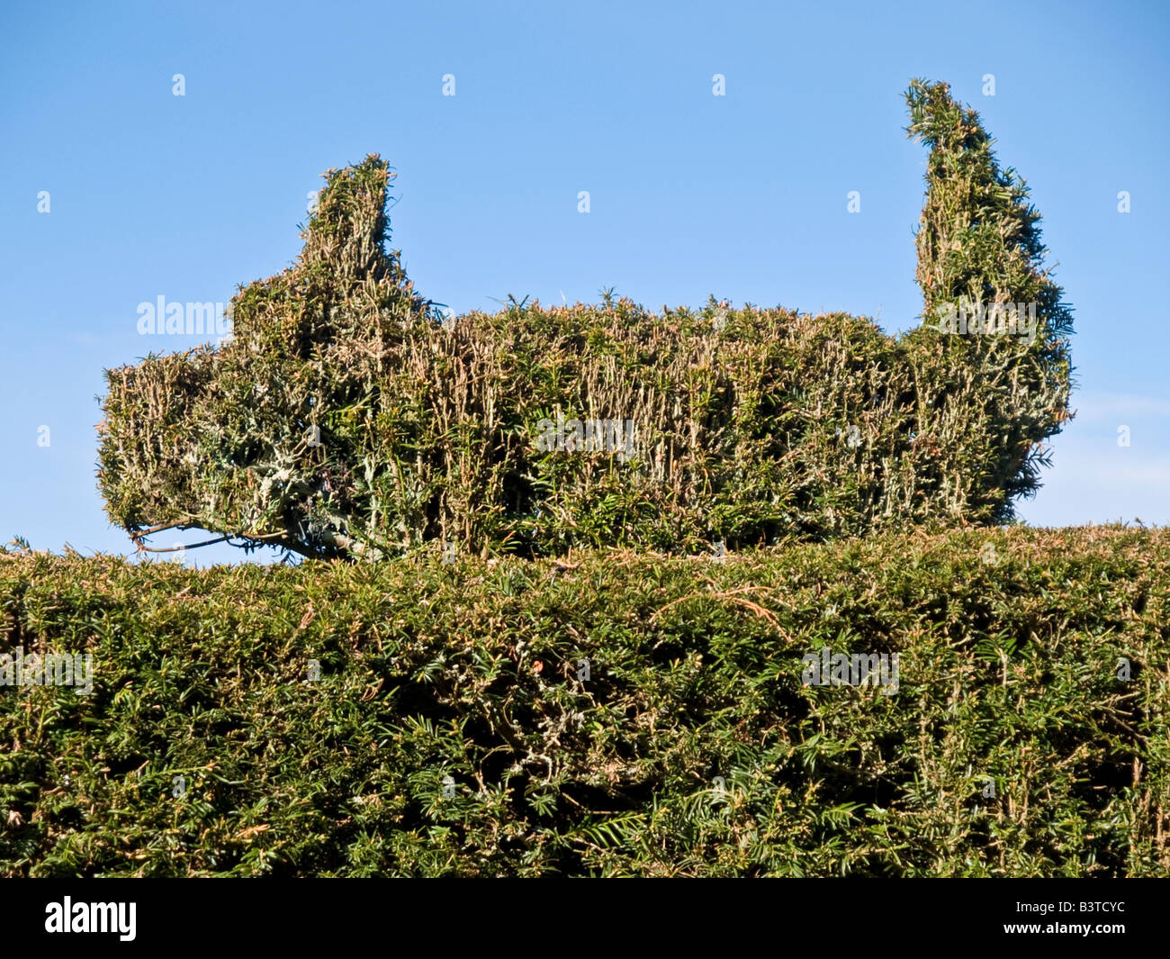 Pig topiary hi-res stock photography and images - Alamy