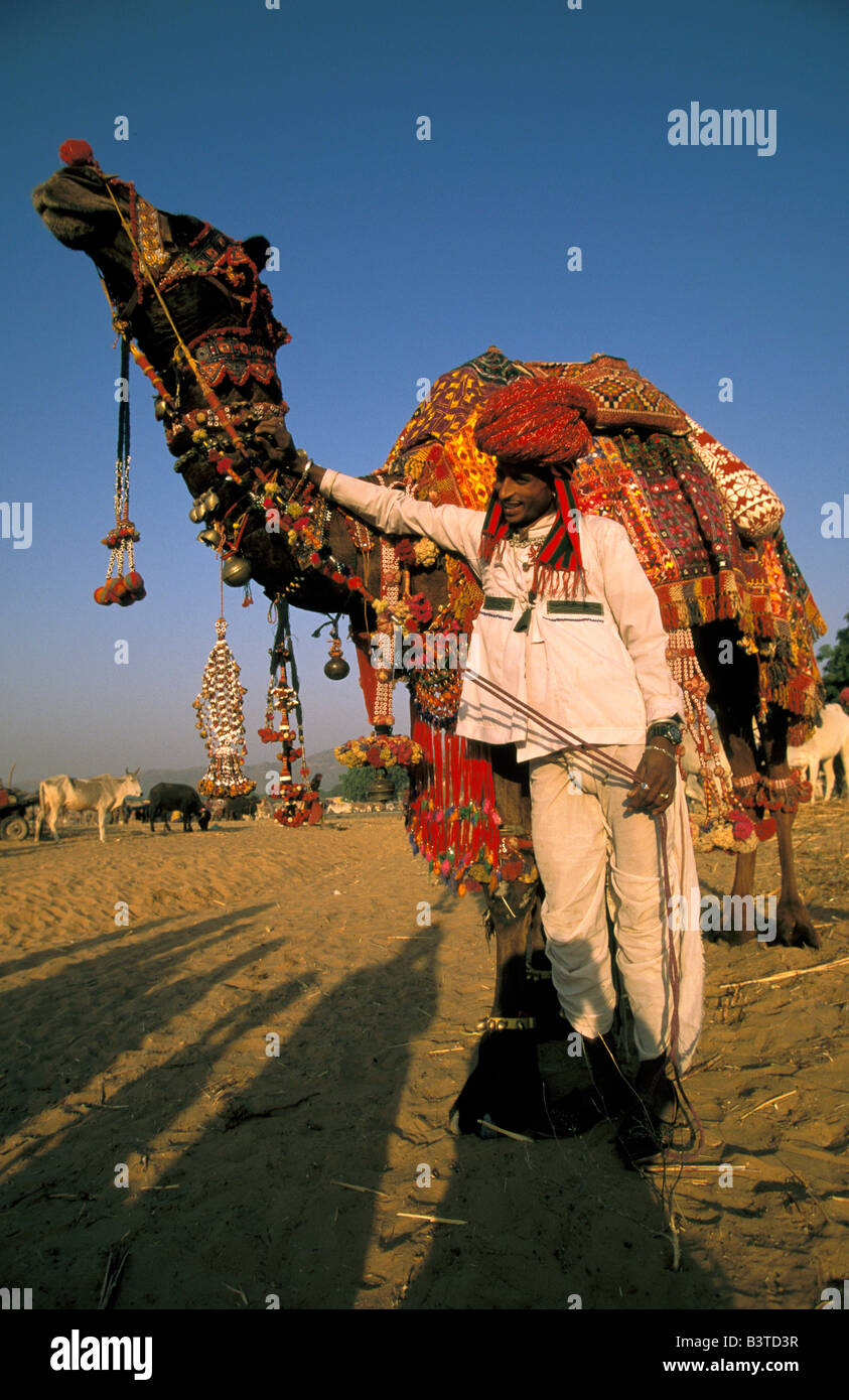 Asia, India, Pushkar. Camel Shamu and handler at Pushkar Camel Festival ...