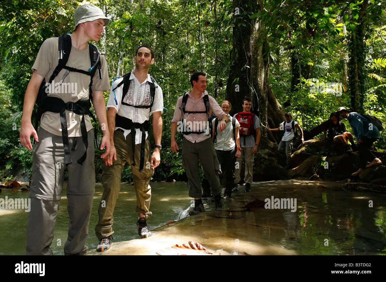Indonesia. Tourists on expedition walking through rainforest in ...