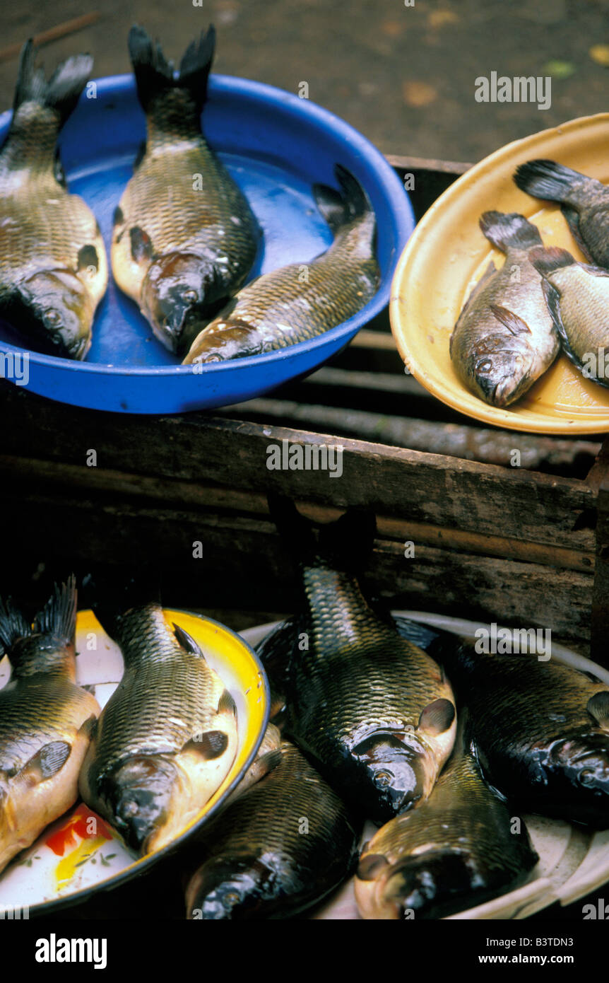 Tomohon market hi-res stock photography and images - Alamy