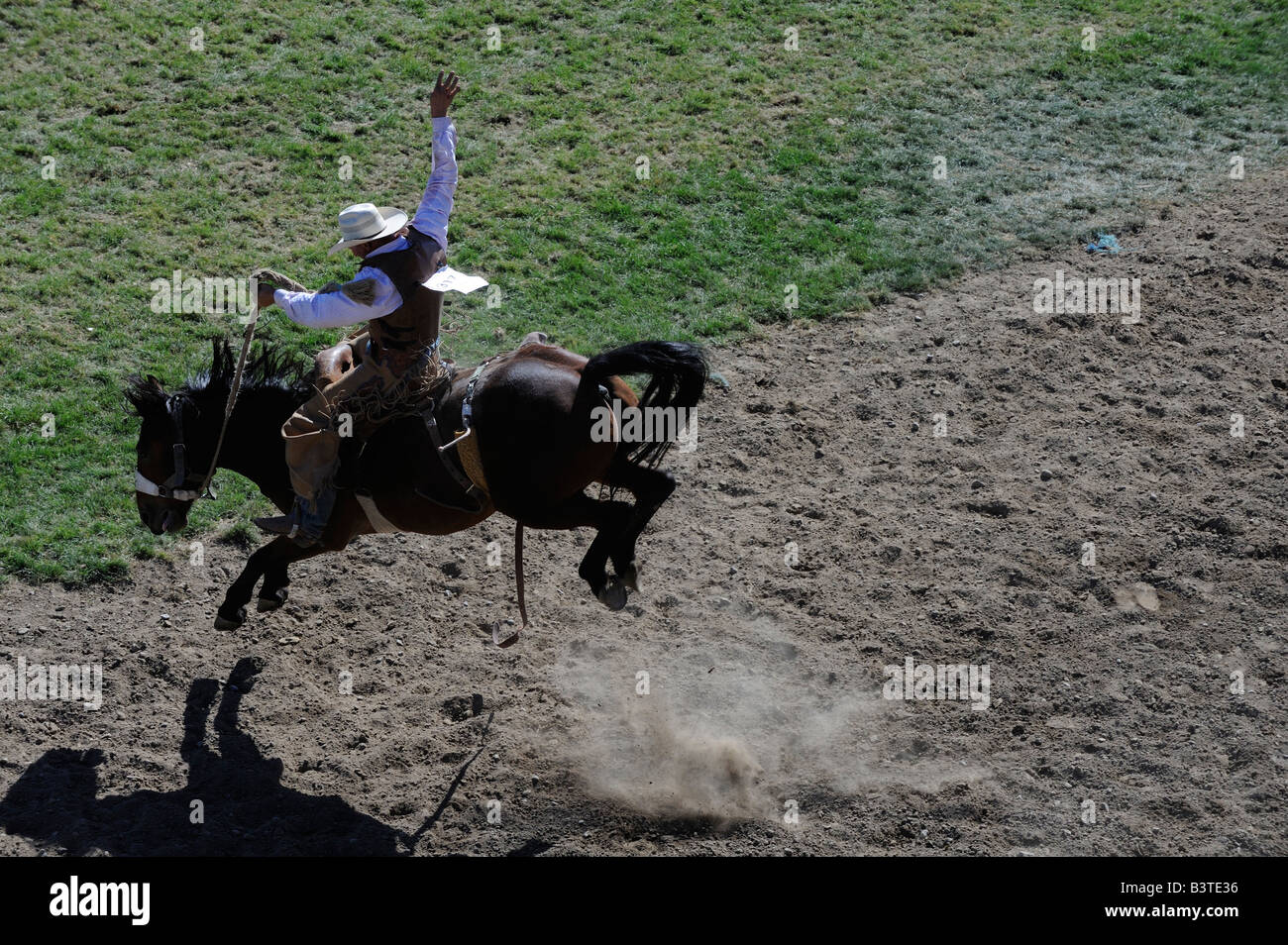 professional rodeo cowboy Saddle Bronc bronco all horse's feet off the ...