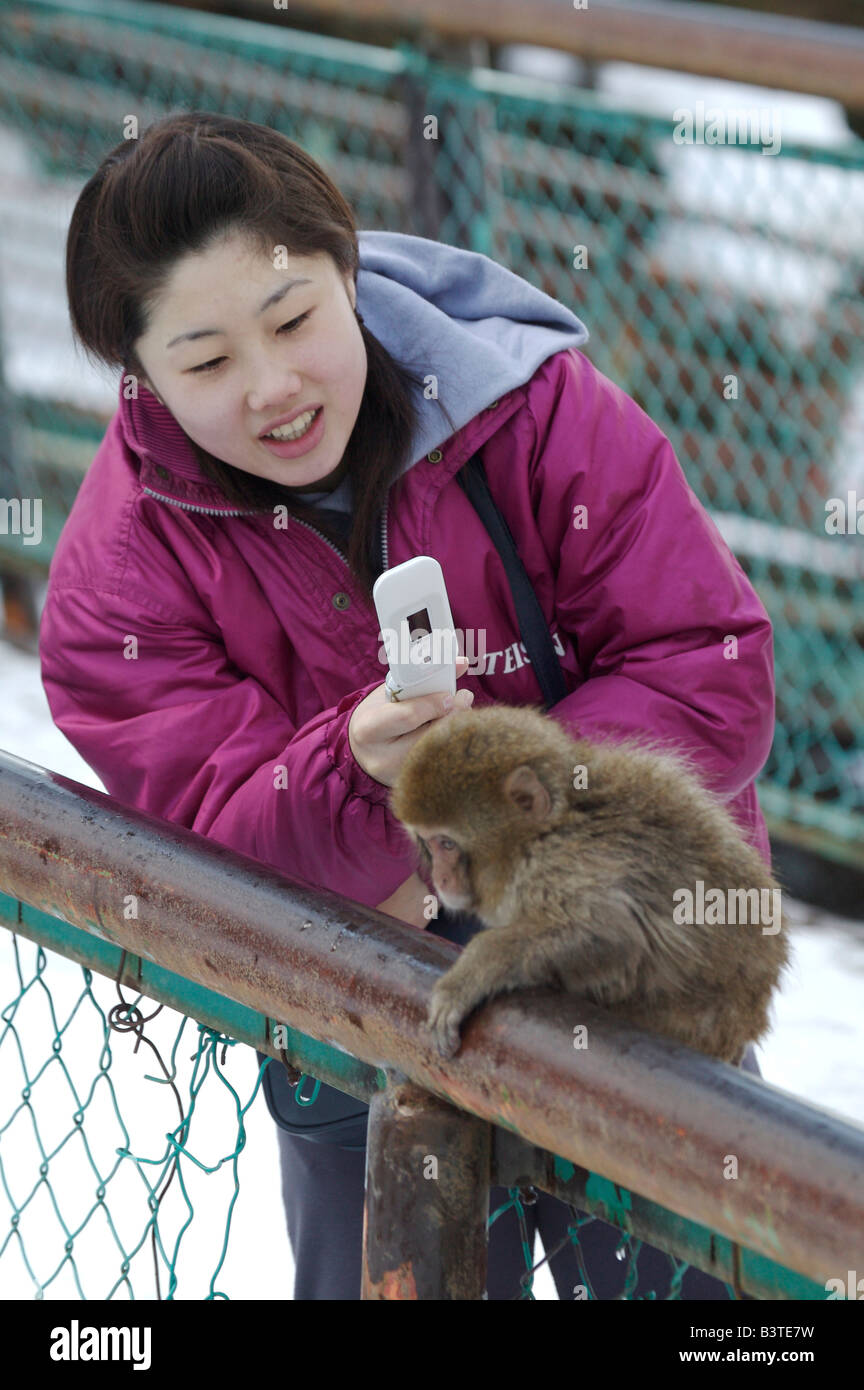 Macaque With Cell Phone