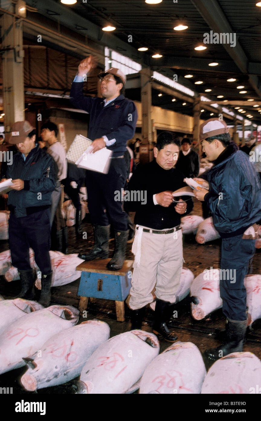 Japan, Tokyo. Tsukiji Fish Market, tuna auction Stock Photo - Alamy