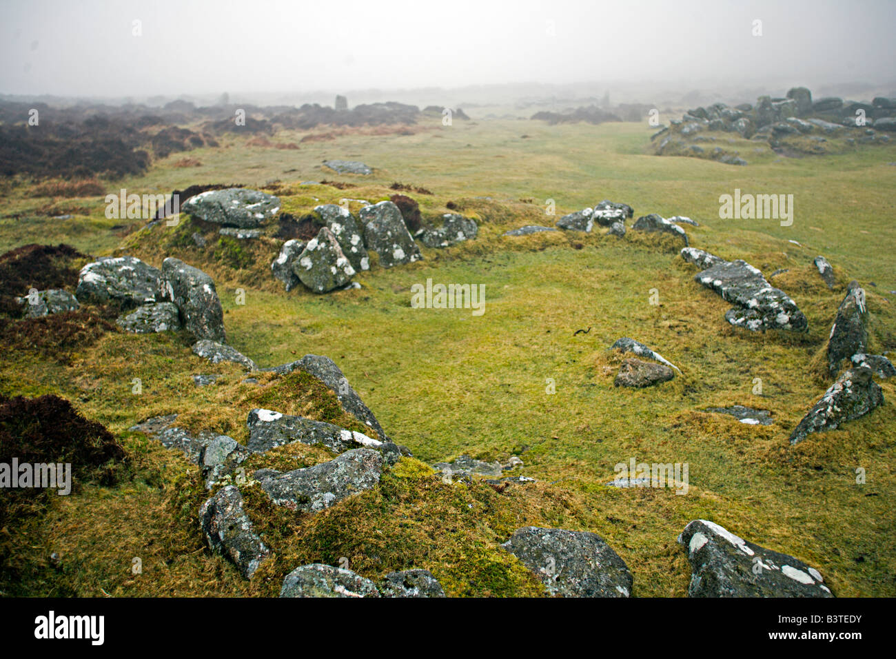 Fox tor mire hi-res stock photography and images - Alamy