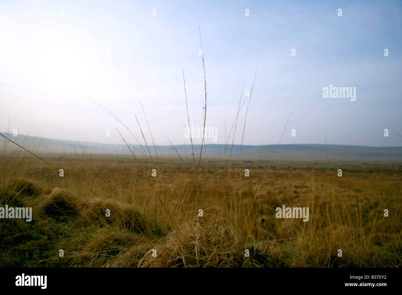 Fox tor mire, dartmoor hi-res stock photography and images - Alamy