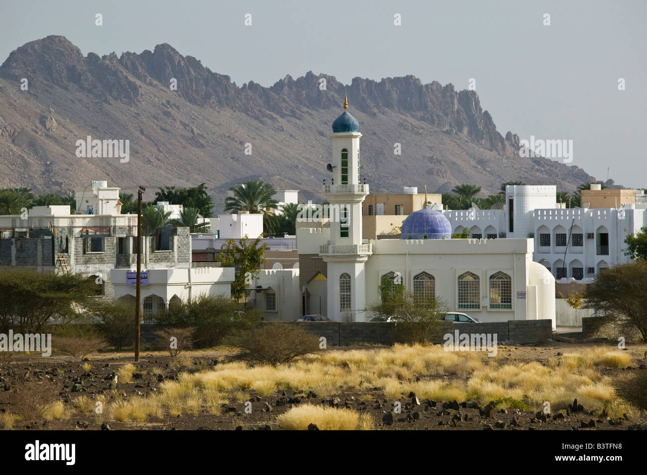 Oman, Western Hajar Mountains, Nizwa. Nizwa Town Houses with Western ...