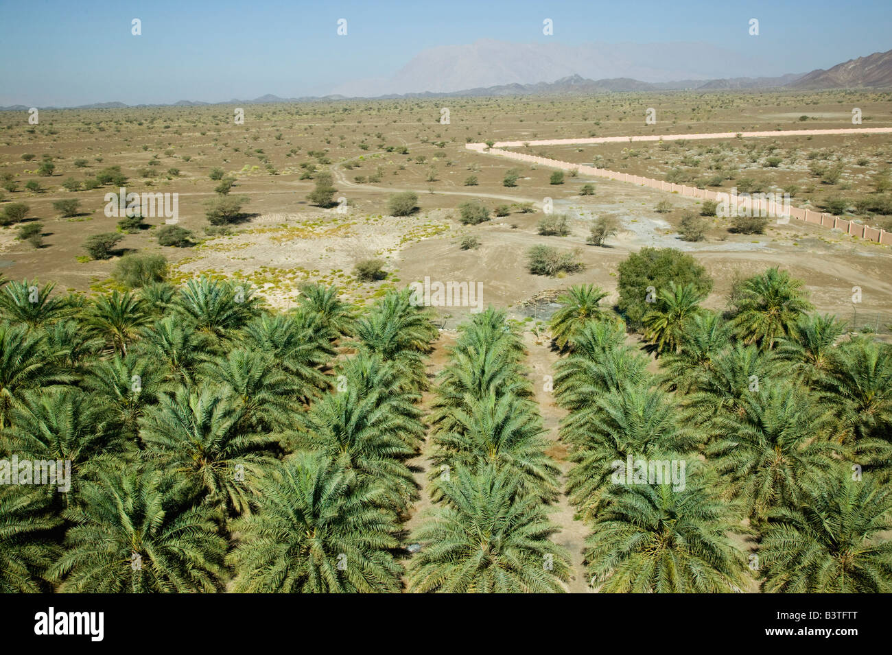 Oman, Western Hajar Mountains, Jabrin. Jabrin Castle / Fort, Palm Grove ...
