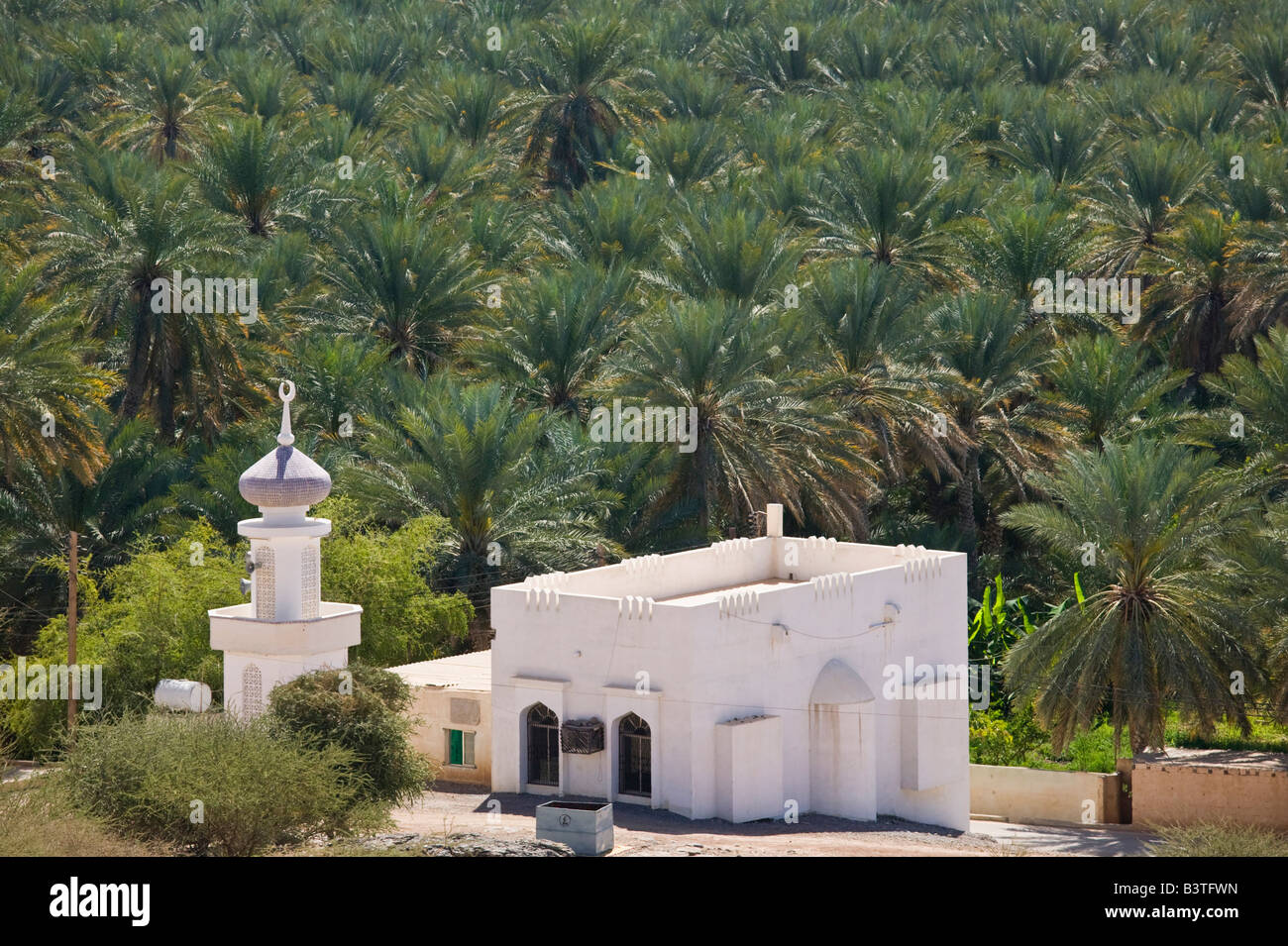 Oman, Western Hajar Mountains, Al Hamra. Mosque by Date Palm Grove ...