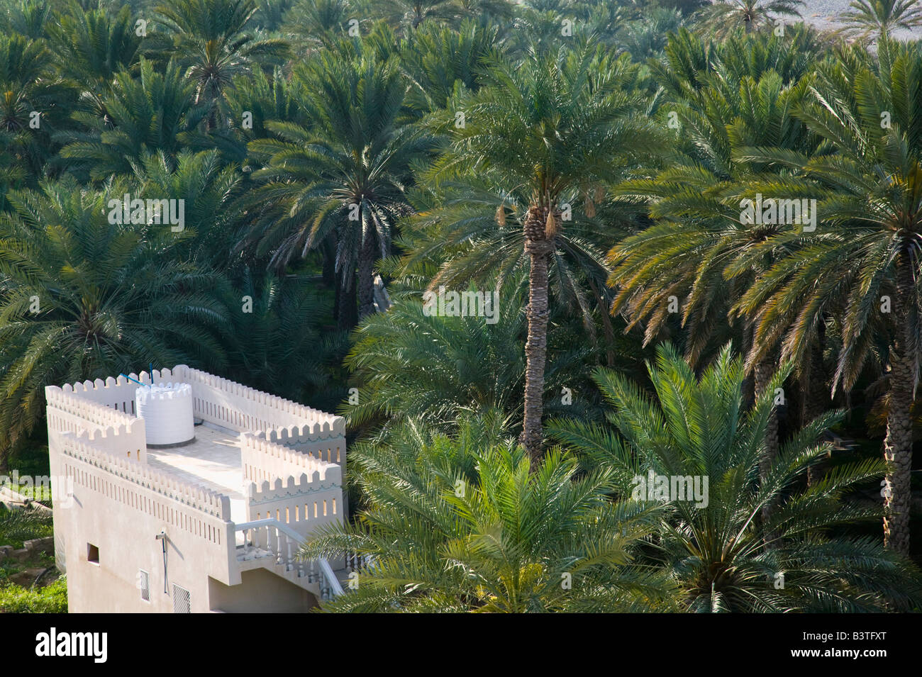 Oman, Western Hajar Mountains, Fanja. Morning View of Fanja Town ...