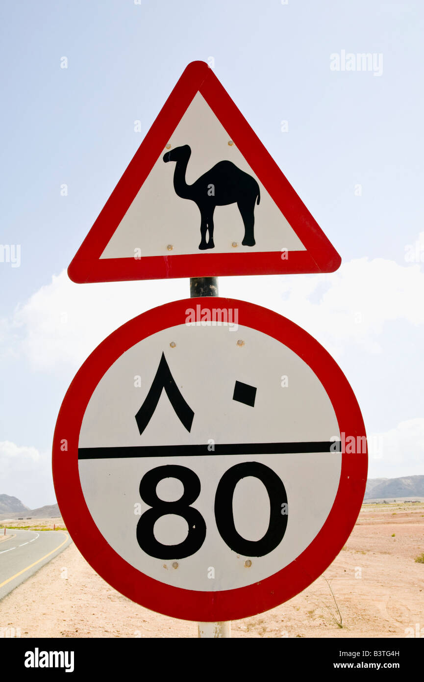 Oman, Sharqiya Region, Ad Daffah. Camel Warning Sign along Eastern ...