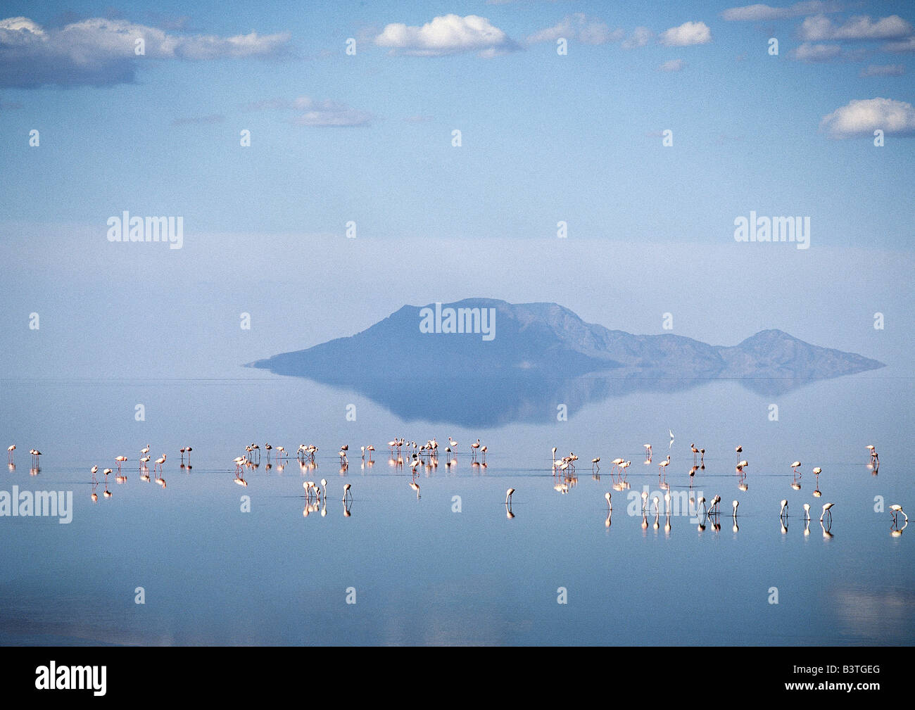 Lake natron tanzania pink hi-res stock photography and images - Alamy