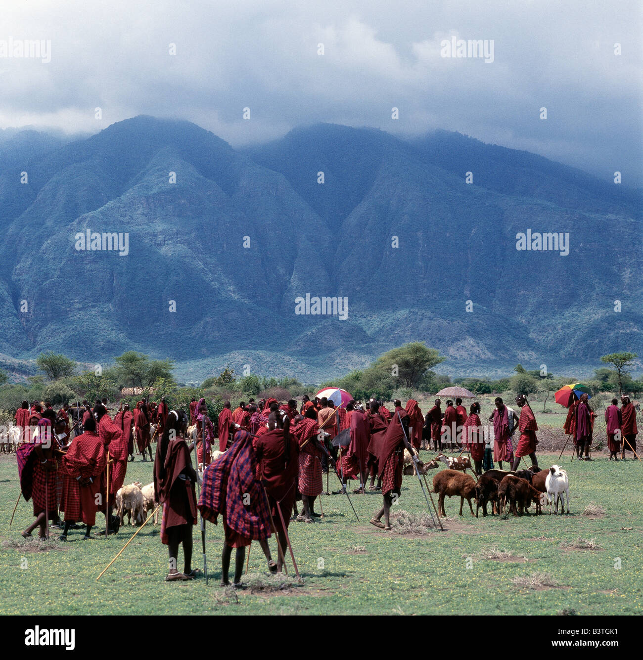 Tanzania, Northern Tanzania, Engaruka. A colourful Maasai livestock ...