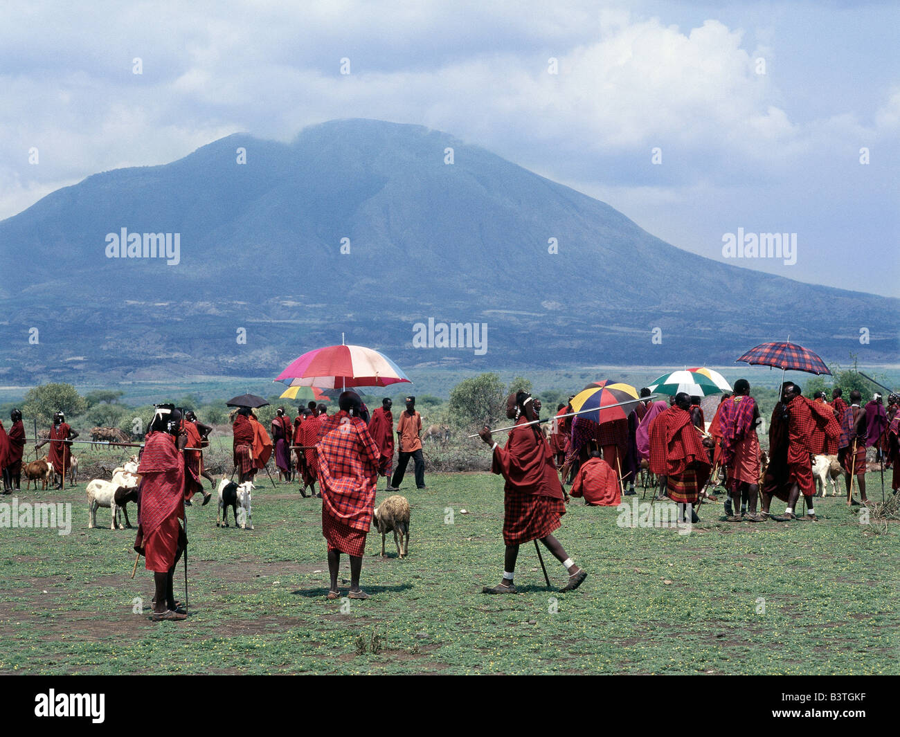 Tanzania, Northern Tanzania, Engaruka. A Colourful Maasai livestock ...