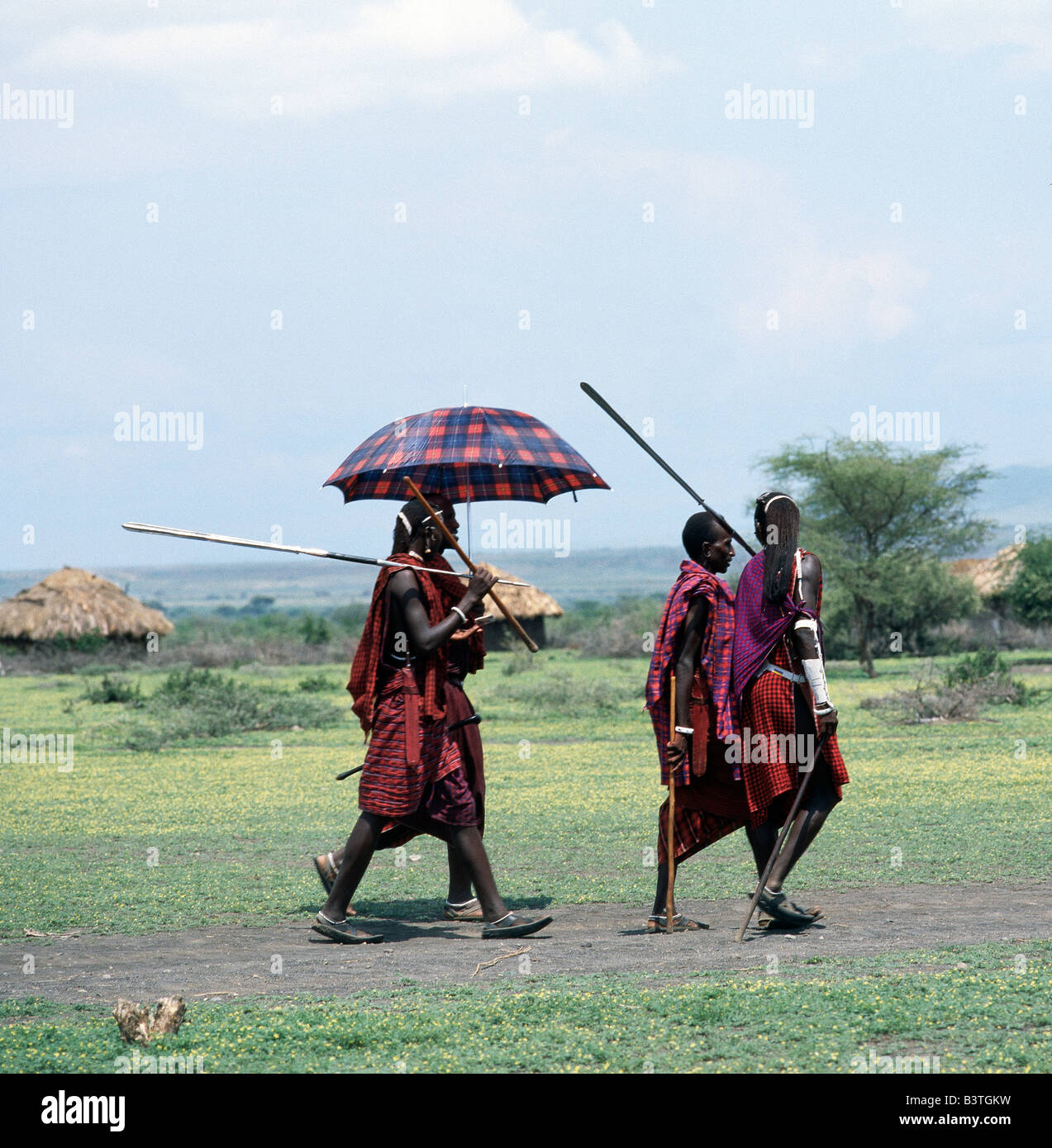 Tanzania, Northern Tanzania, Engaruka. Maasai warriors in traditional ...