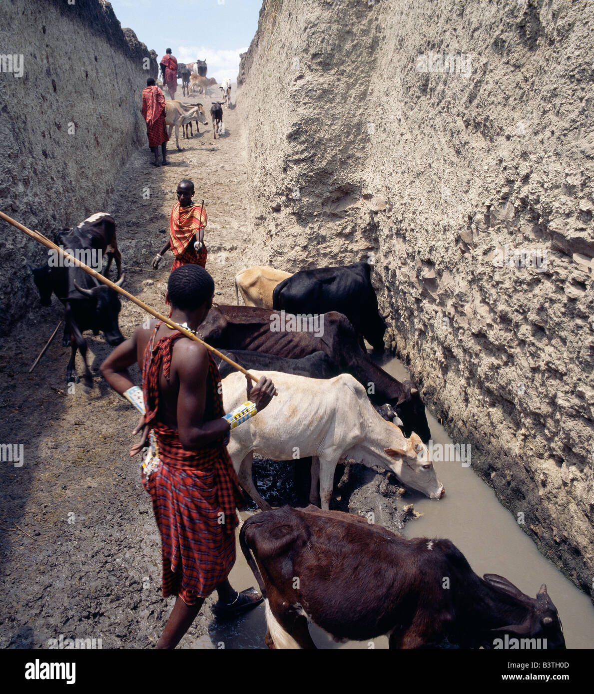 Tanzania, Northern Tanzania, Deep Maasai wells at Loibor Serrit where ...