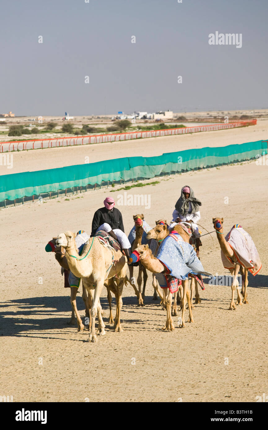 Qatar, Al Shahaniya. Qatar Camel Racing Track- Excercising Racing ...