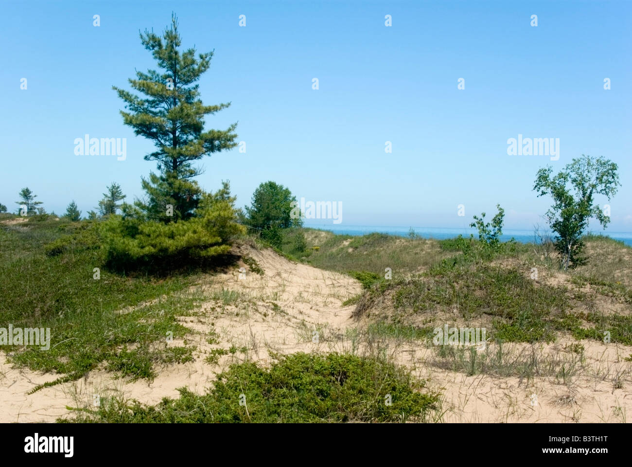 Lake Michigan shoreline dunes Point Beach State Forest Wisconsin Stock ...