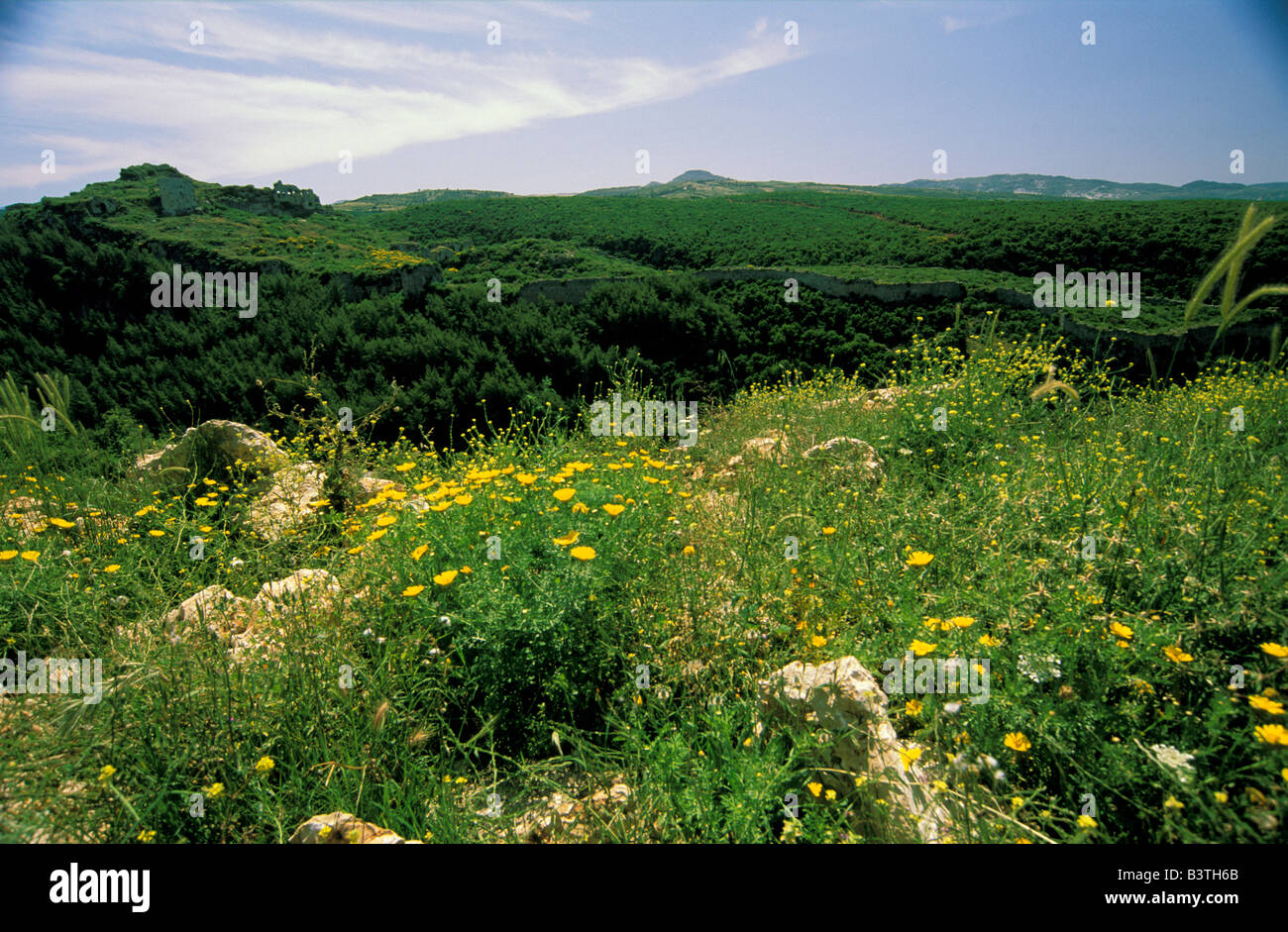 Saladins hi-res stock photography and images - Alamy