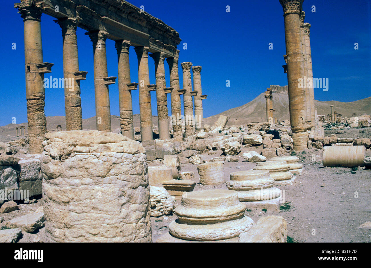 Asia, Syria, Palmyra. Colonnade and Arab castle Stock Photo - Alamy