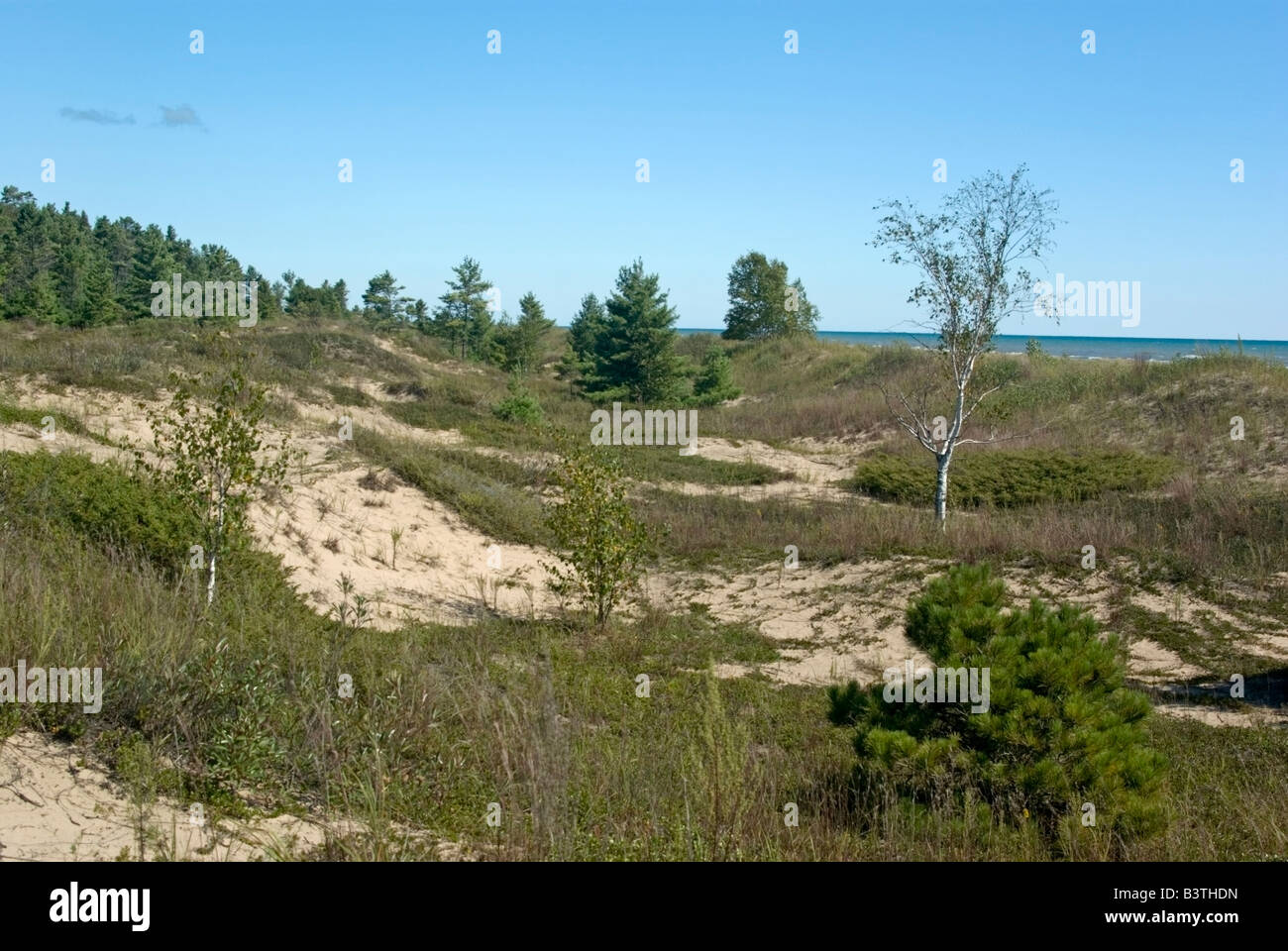 Lake Michigan shoreline dunes Point Beach State Forest Wisconsin Stock ...
