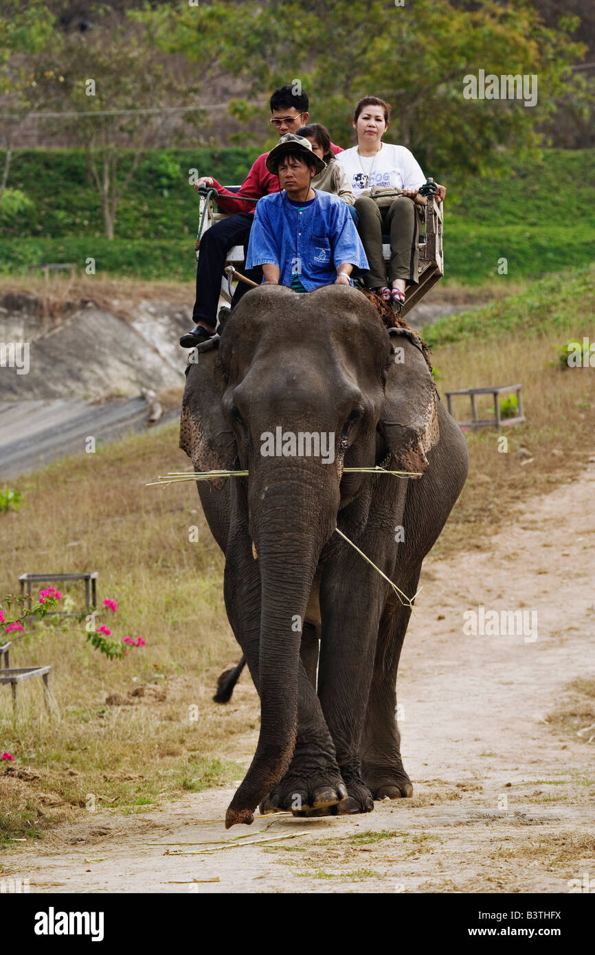 Asian tourists riding Asian Elephant, Thai Elephant Conservation Center ...