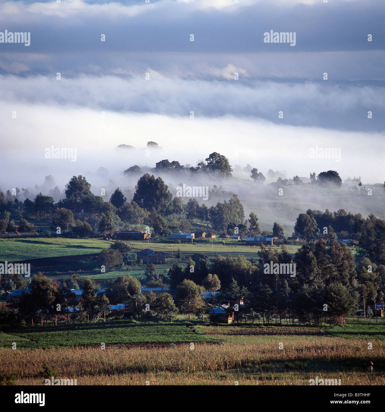 Mbeya Highlands High Resolution Stock Photography and Images - Alamy