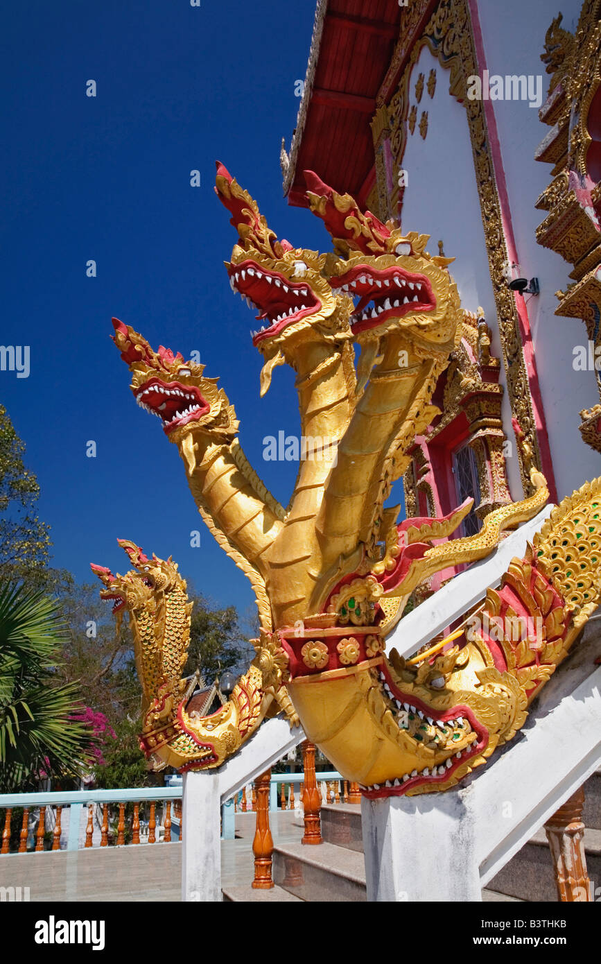 Real Three Headed Snake