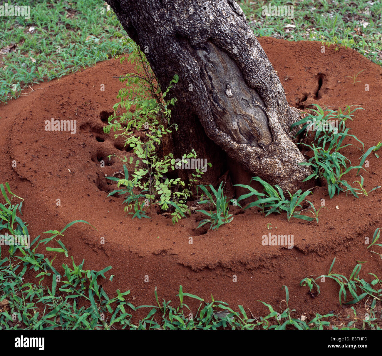 Largest dams in the world hi-res stock photography and images - Alamy