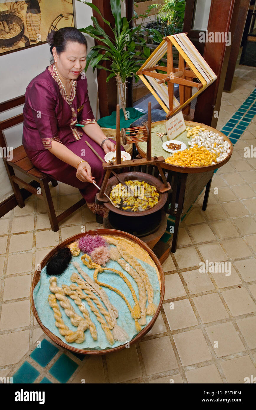 Demonstration showing how silk fibers are harvested from silkworm ...