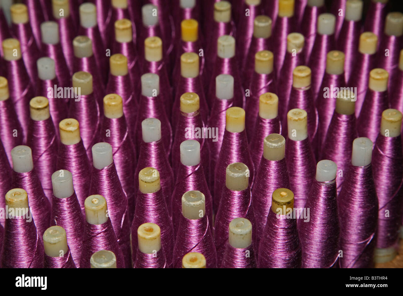 Purple silk thread wound on bobbins stacked in rows at a silk weaving ...