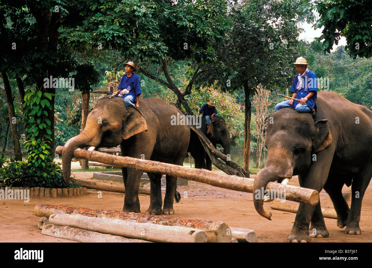 Log handler hi-res stock photography and images - Alamy