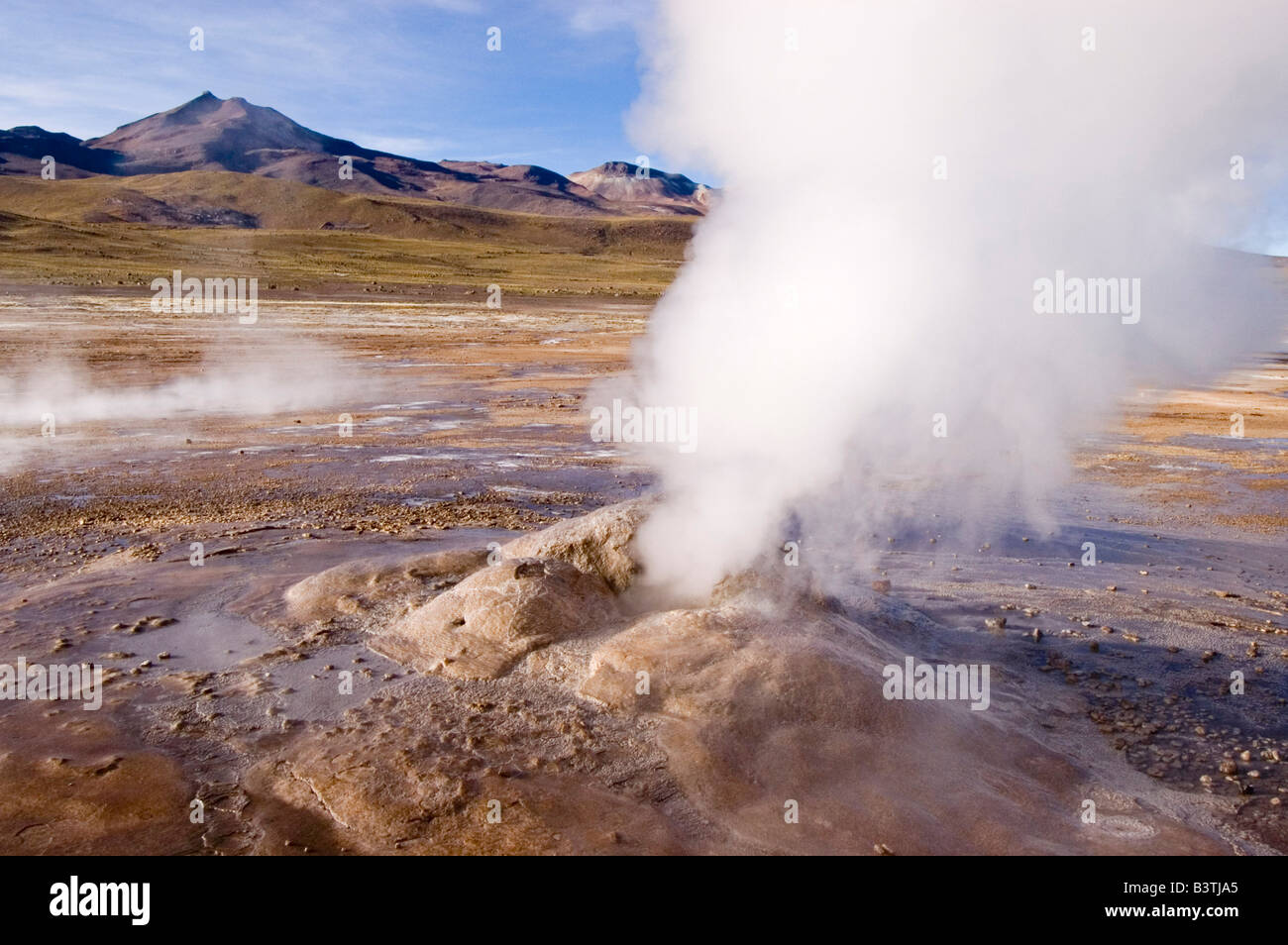 Puna geothermal hi-res stock photography and images - Alamy