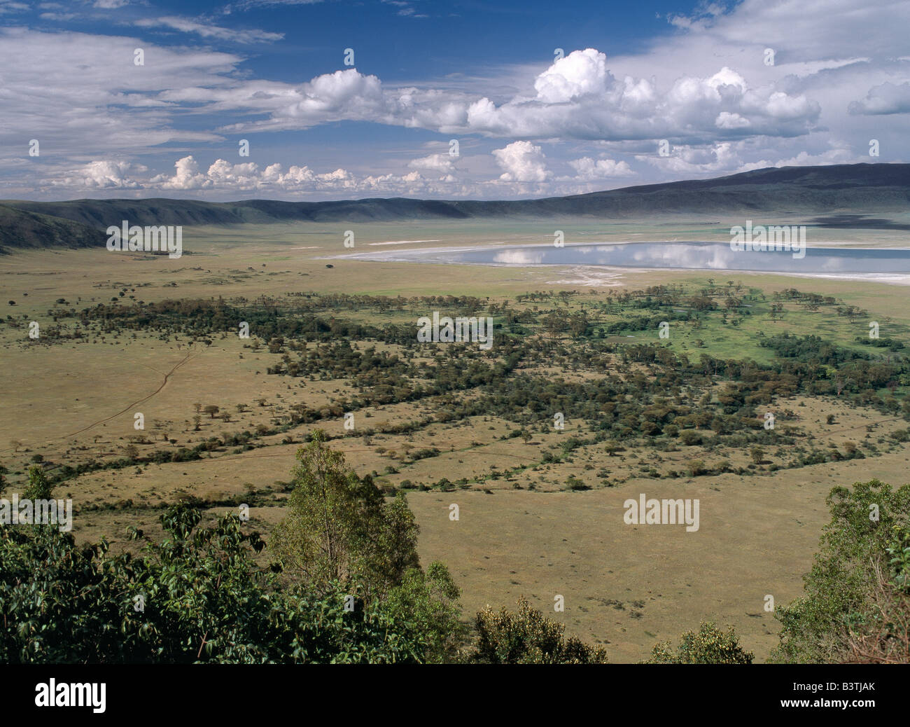 Aerial view ngorongoro crater tanzania hi-res stock photography and ...