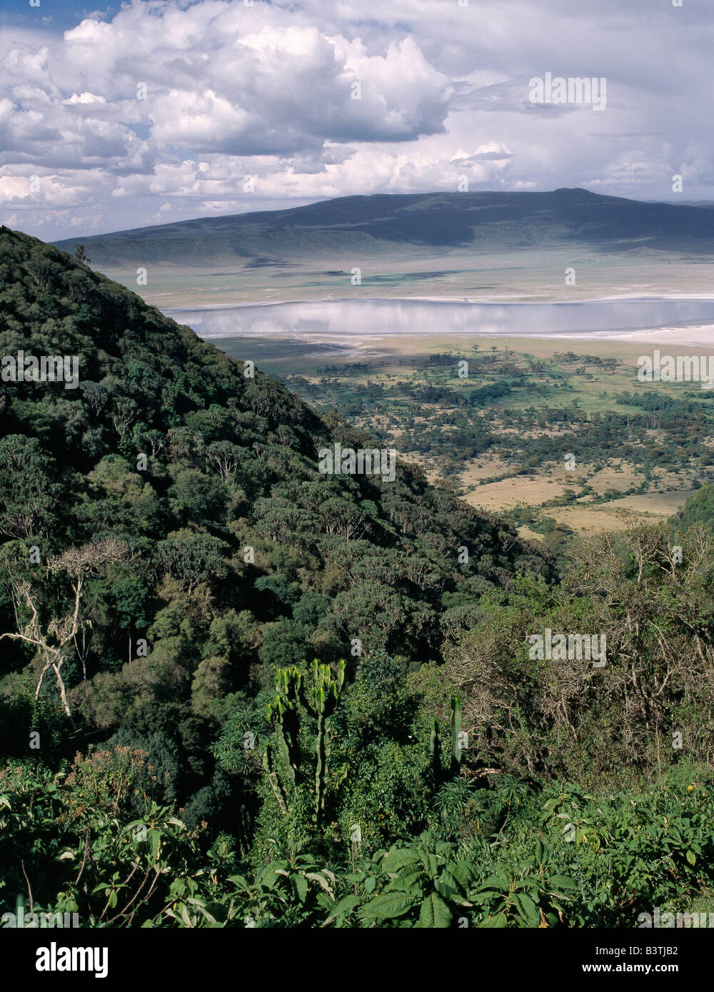 Aerial view ngorongoro crater tanzania hi-res stock photography and ...