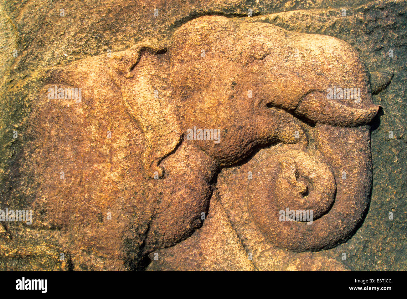 elephant relief at the royal city of Anuradhapura Stock Photo - Alamy