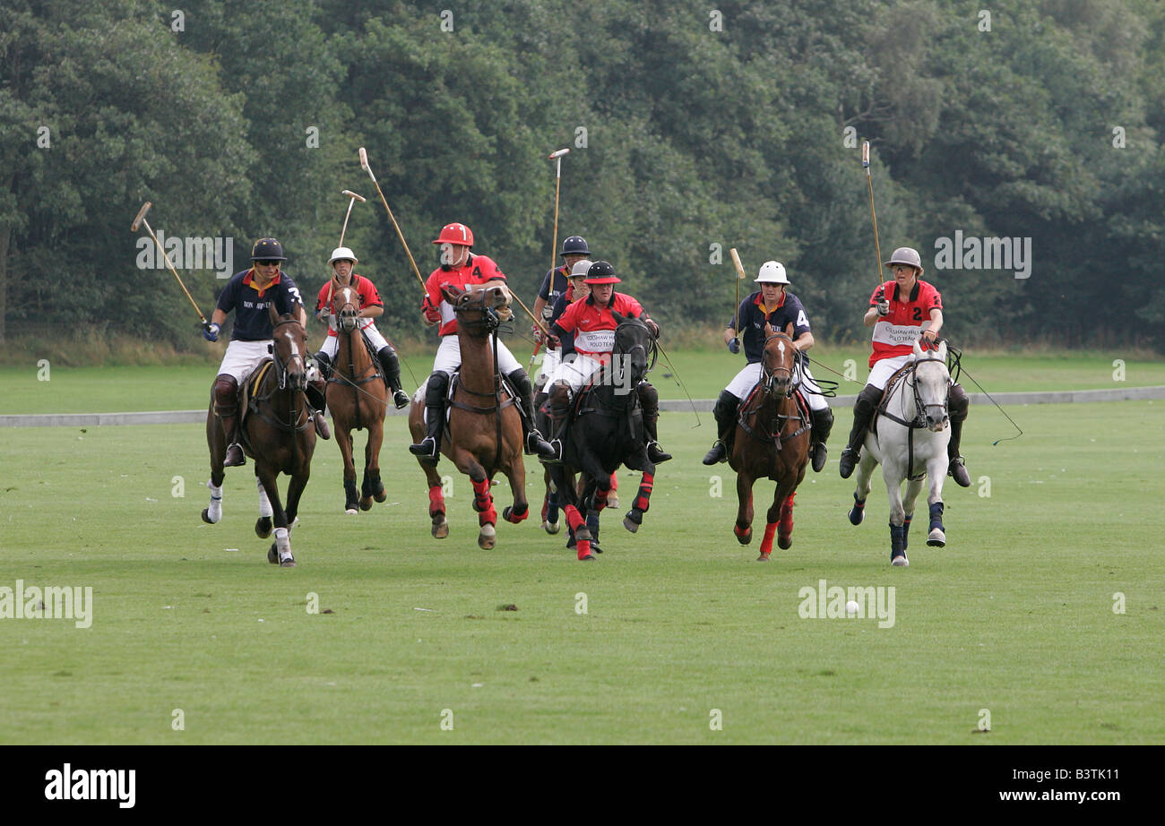 Polo tournament match sports horseback rider horse riding motion man ...
