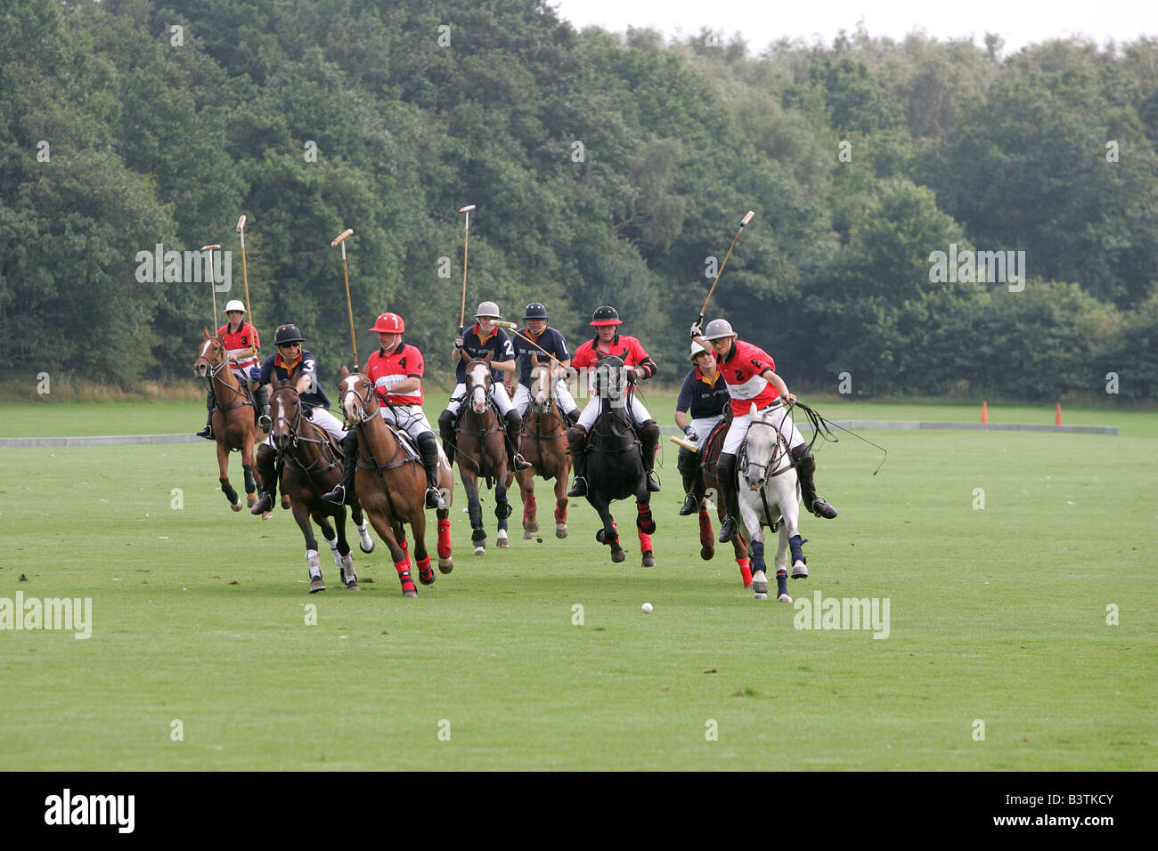 Polo tournament match sports horseback rider horse riding motion man ...