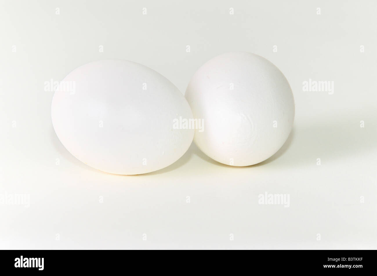 A silo of two whole eggs in the shell against a white background Stock ...