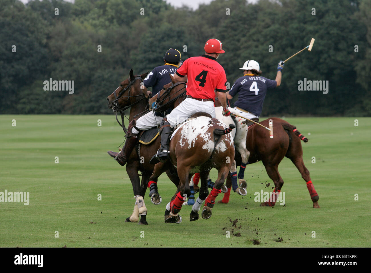 Polo tournament match sports horseback rider horse riding motion man ...